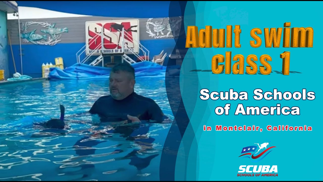 Swim Class Drills for Adult Beginners 🏊‍♂️ Scuba Schools of America in ...