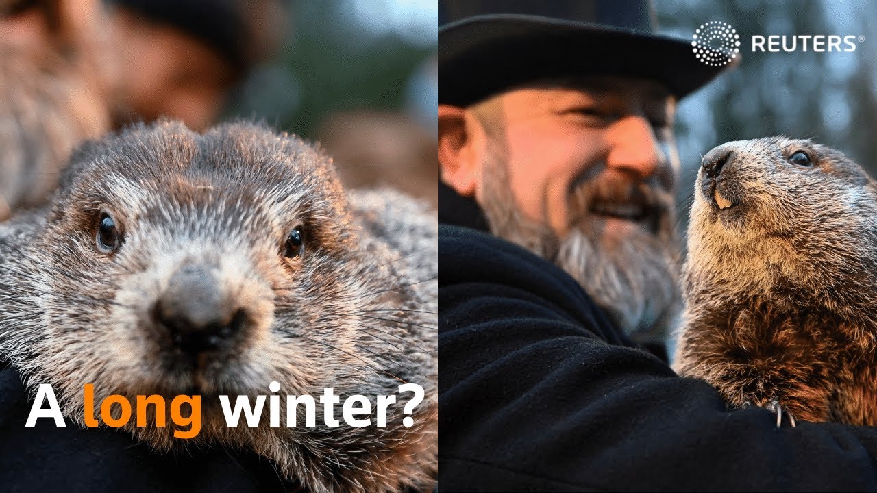 Pretend Play Toys & Games Toys Practically Playing WEEK 5 PlayAlong Ground Hogs weather etna.com.pe