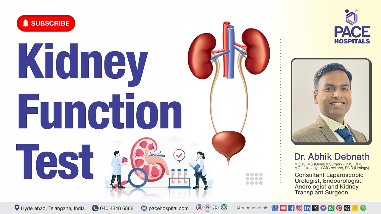 Kidney Function Tests (KFT) - Normal Range & Importance ...