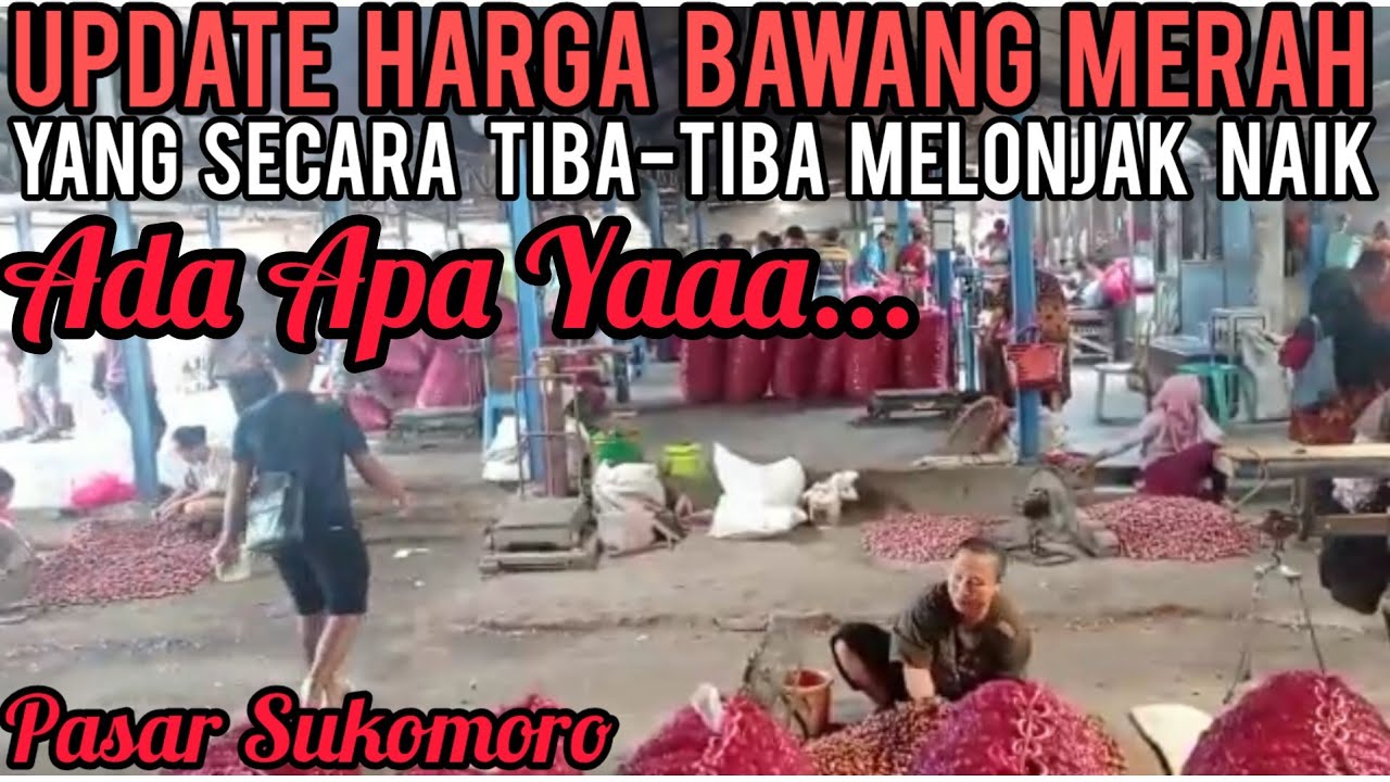 HARGA BAWANG MERAH YANG TIBA-TIBA MELONJAK NAIK INI PENJELASANYA BERSAMA MASTER AGUS - YouTube