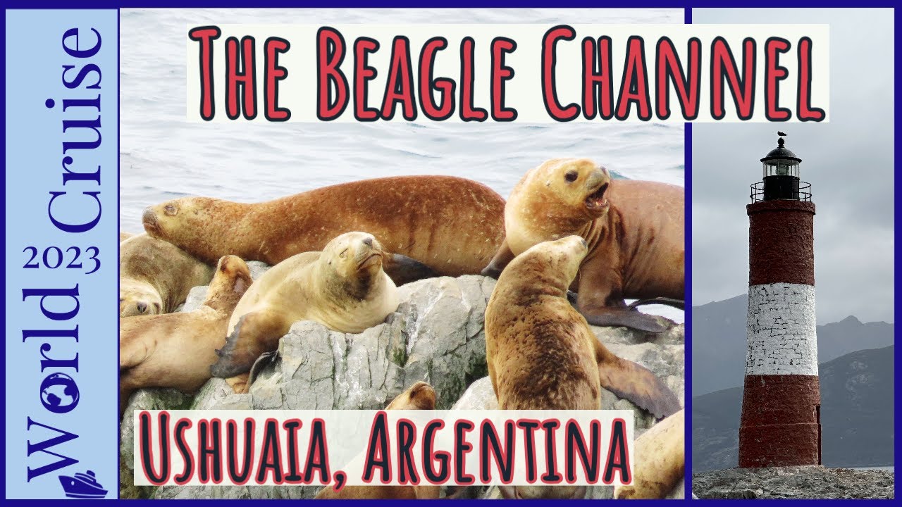Beagle Channel Boat Trip | Sea Lions, Birds, Lighthouse | Ushuaia ...