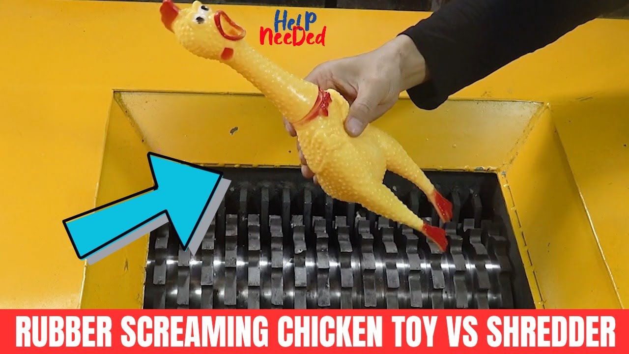 RUBBER SCREAMING CHICKEN ΤΟΥ vs SHREDDER - YouTube