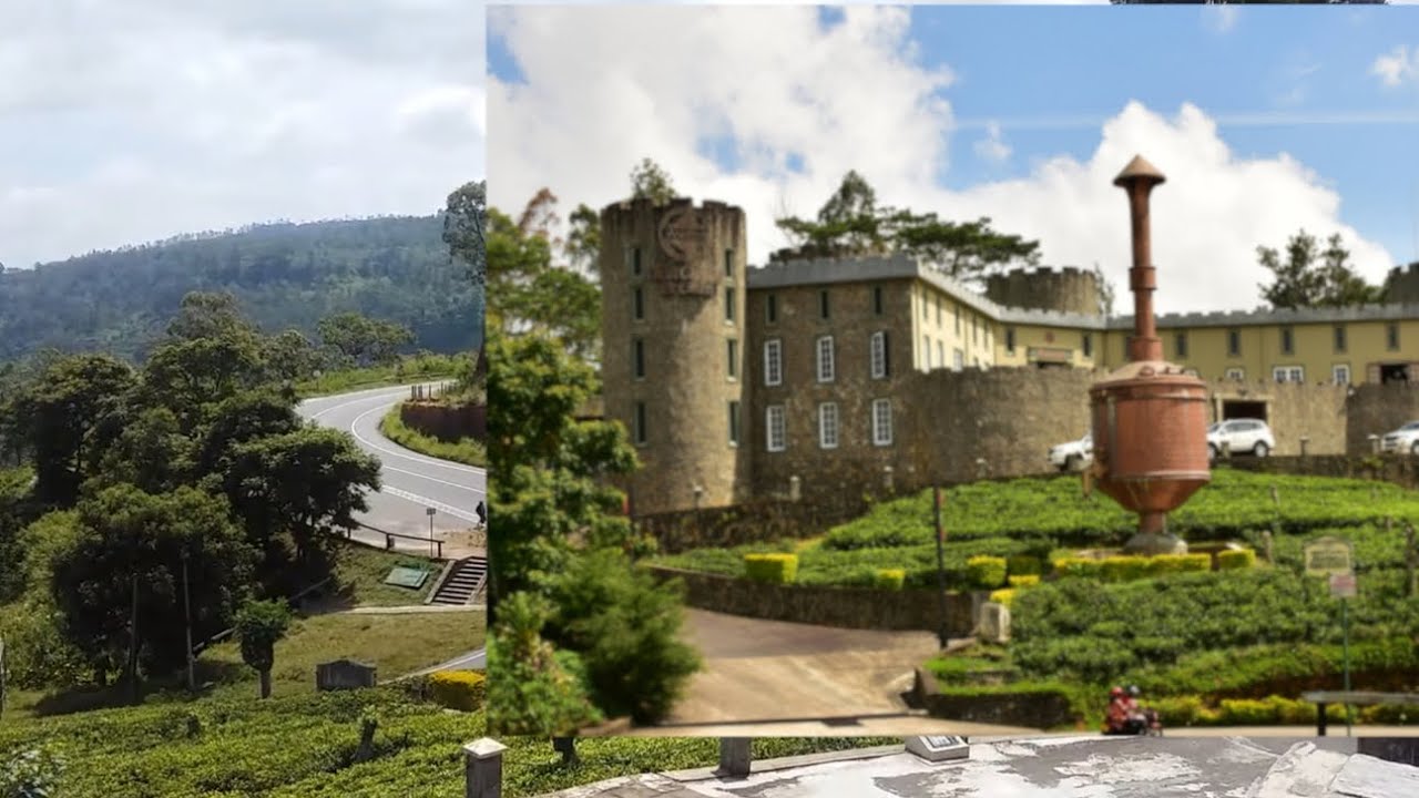 Beautiful view at Mlesna Tea Castle in Sri Lanka - YouTube