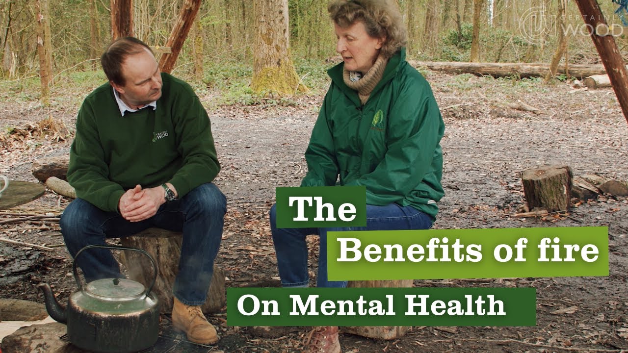 The Mental Health Benefits of a Log Burning Fire: Views From The Cart ...