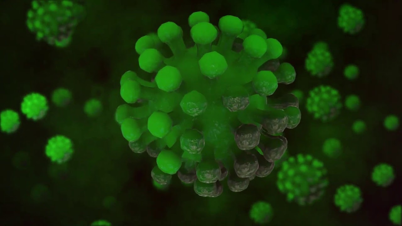 The human killer virus CoronaVirus - YouTube