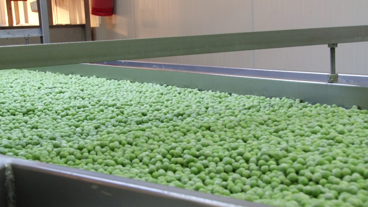 Freezing Process - YouTube