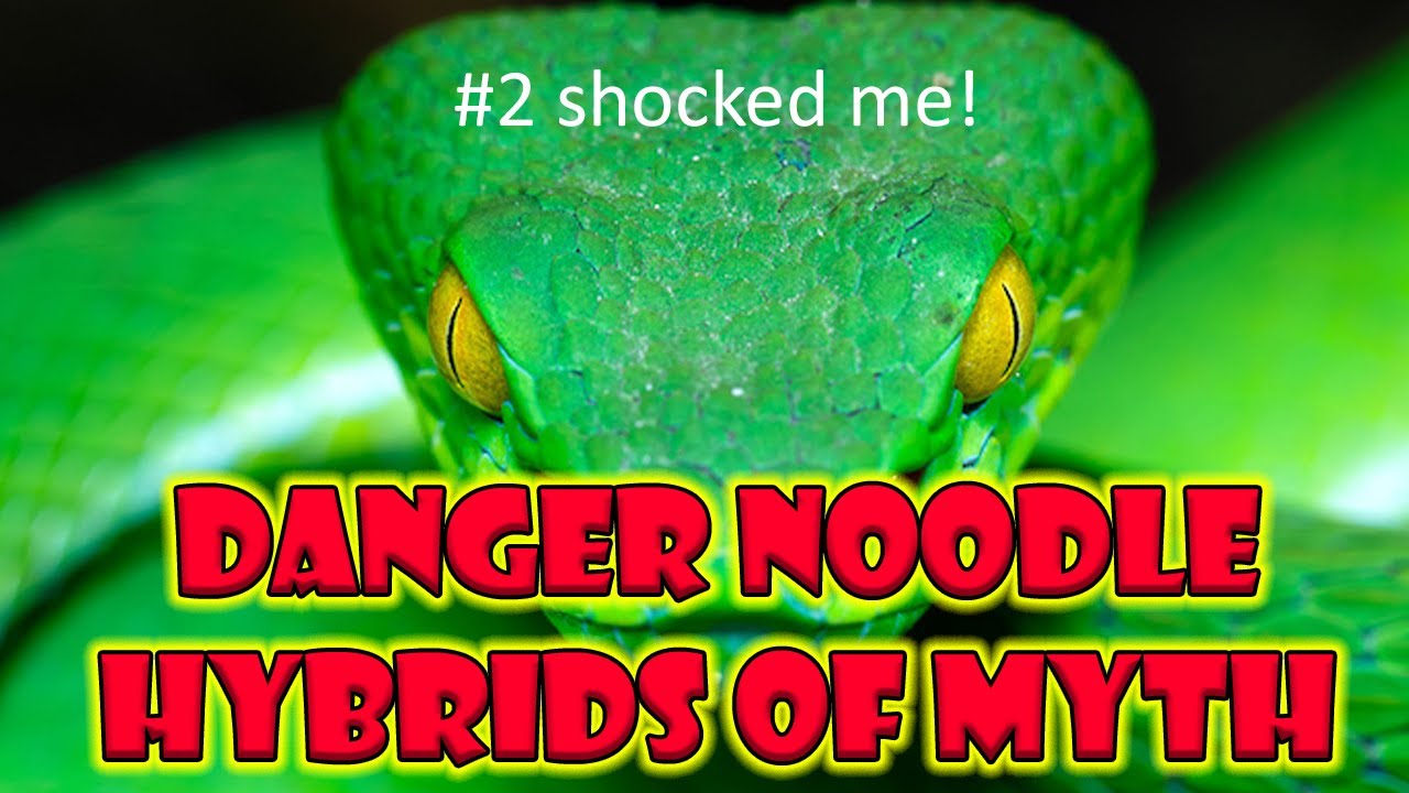 The Snake Hybrids of Greek Mythology - YouTube