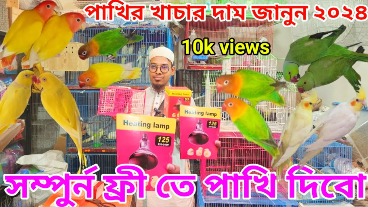 পাখির খাচার দাম জানুন ২০২৪ | টিয়া পাখির দাম কত | Pakhir hat | Bird ...