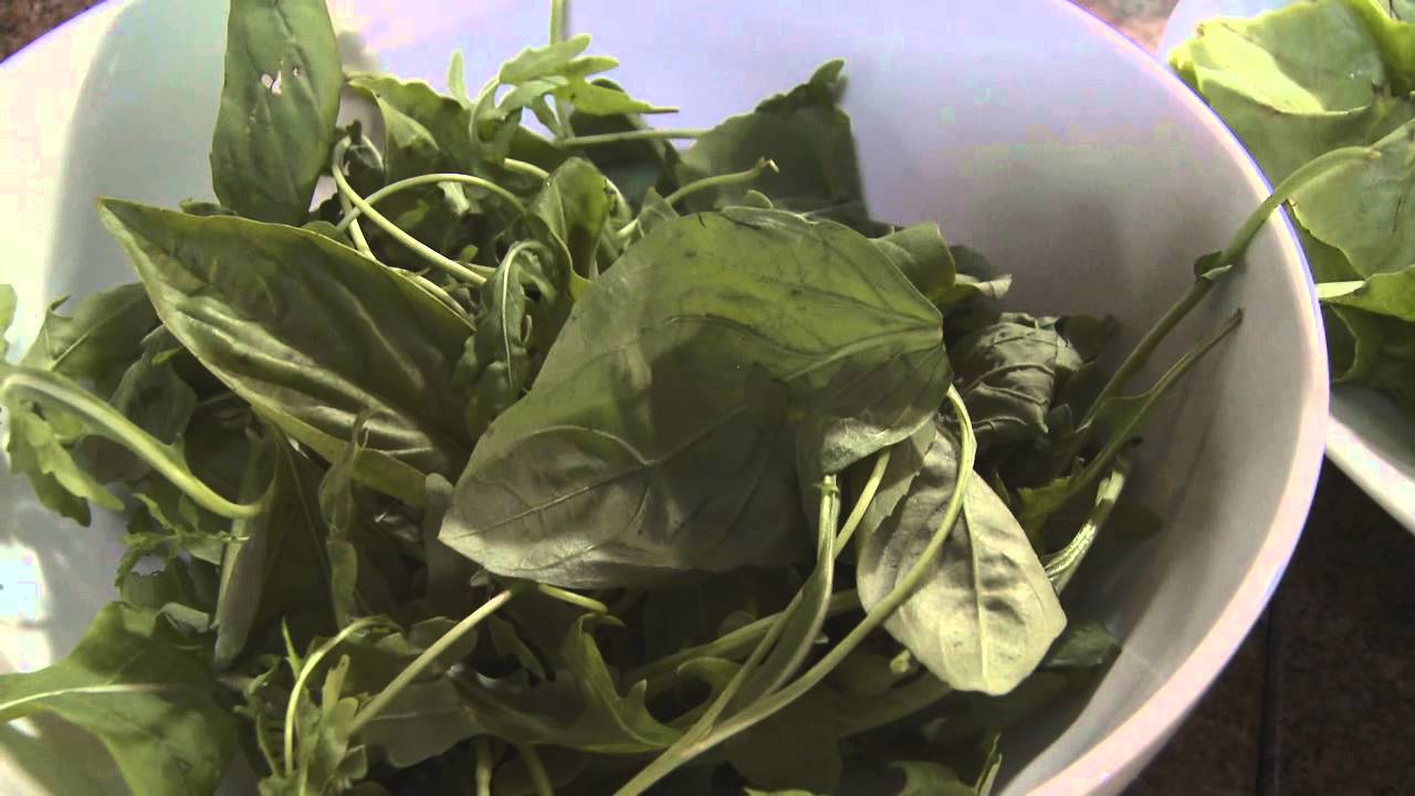 Spekko Rice - Ep6 - Chicken Speckled Rice Salad - YouTube