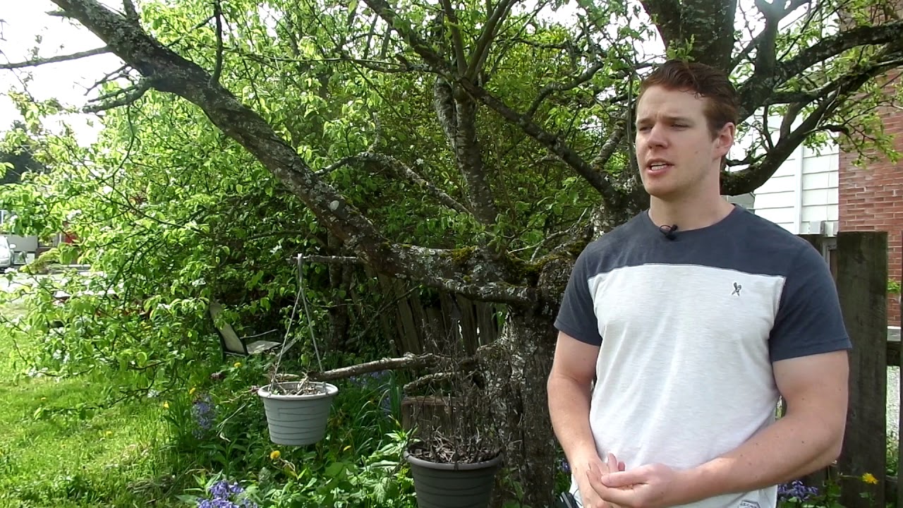 James Pitcher - YouTube