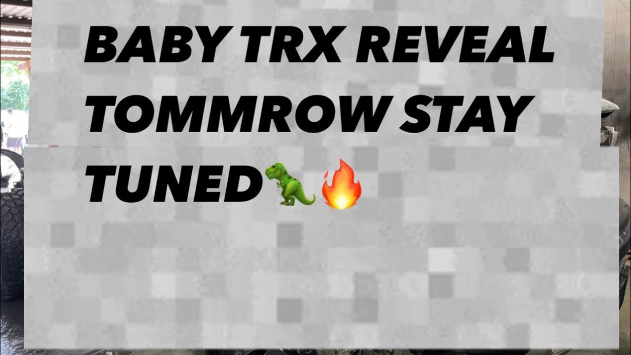 Baby Trx reveal tommrow! - YouTube