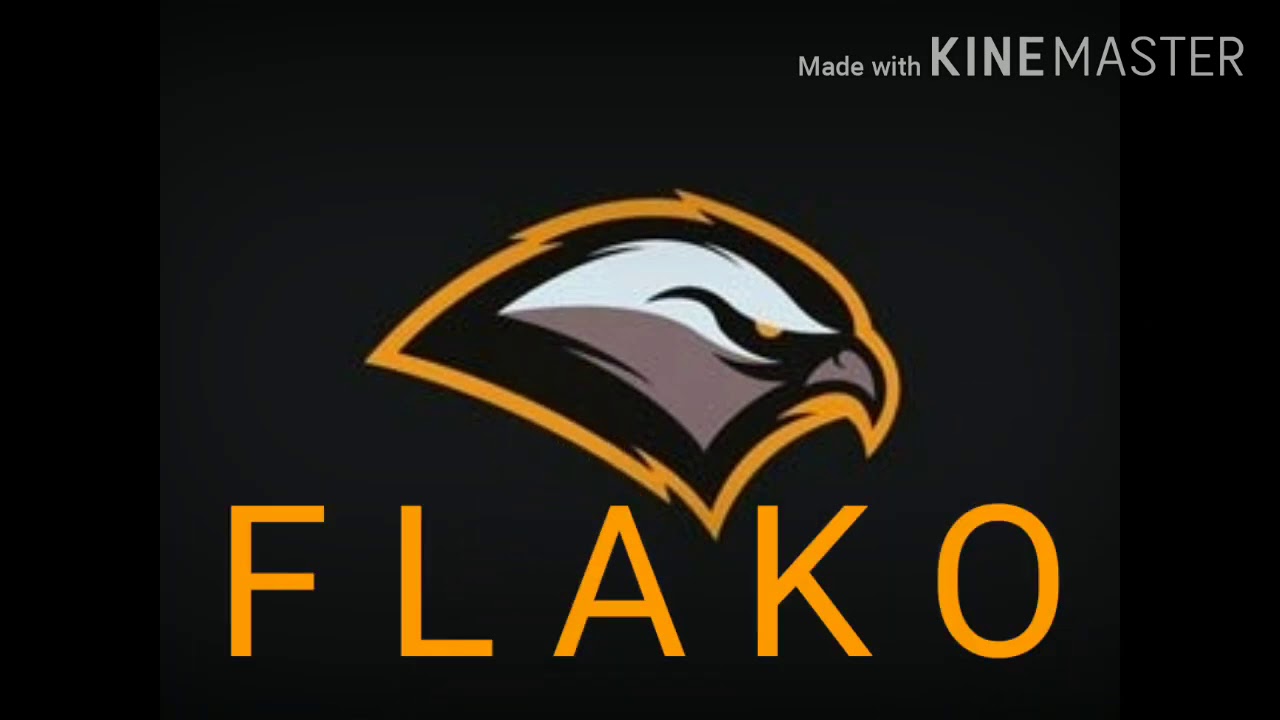 FLOKO GAMING TRAILER - YouTube