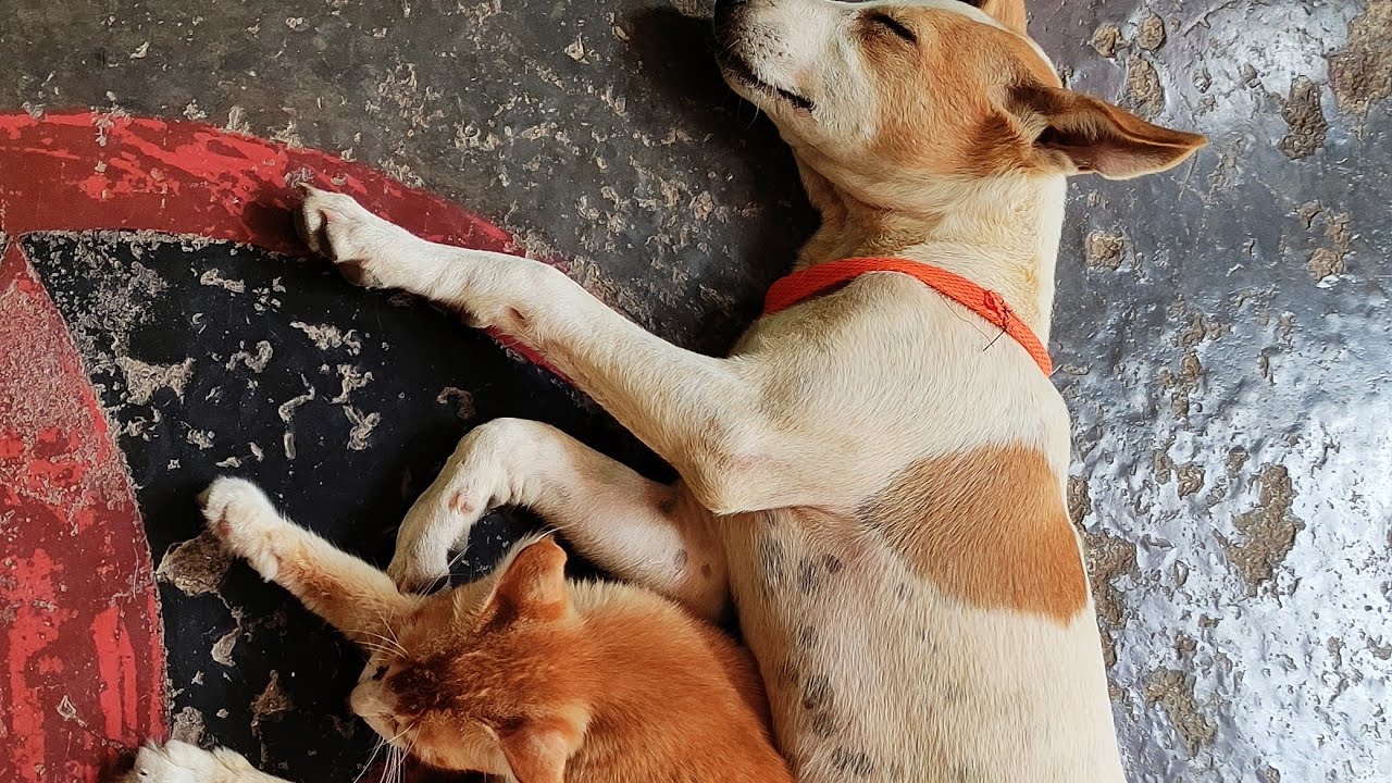 ki sundor suye ache #lifestyle - YouTube