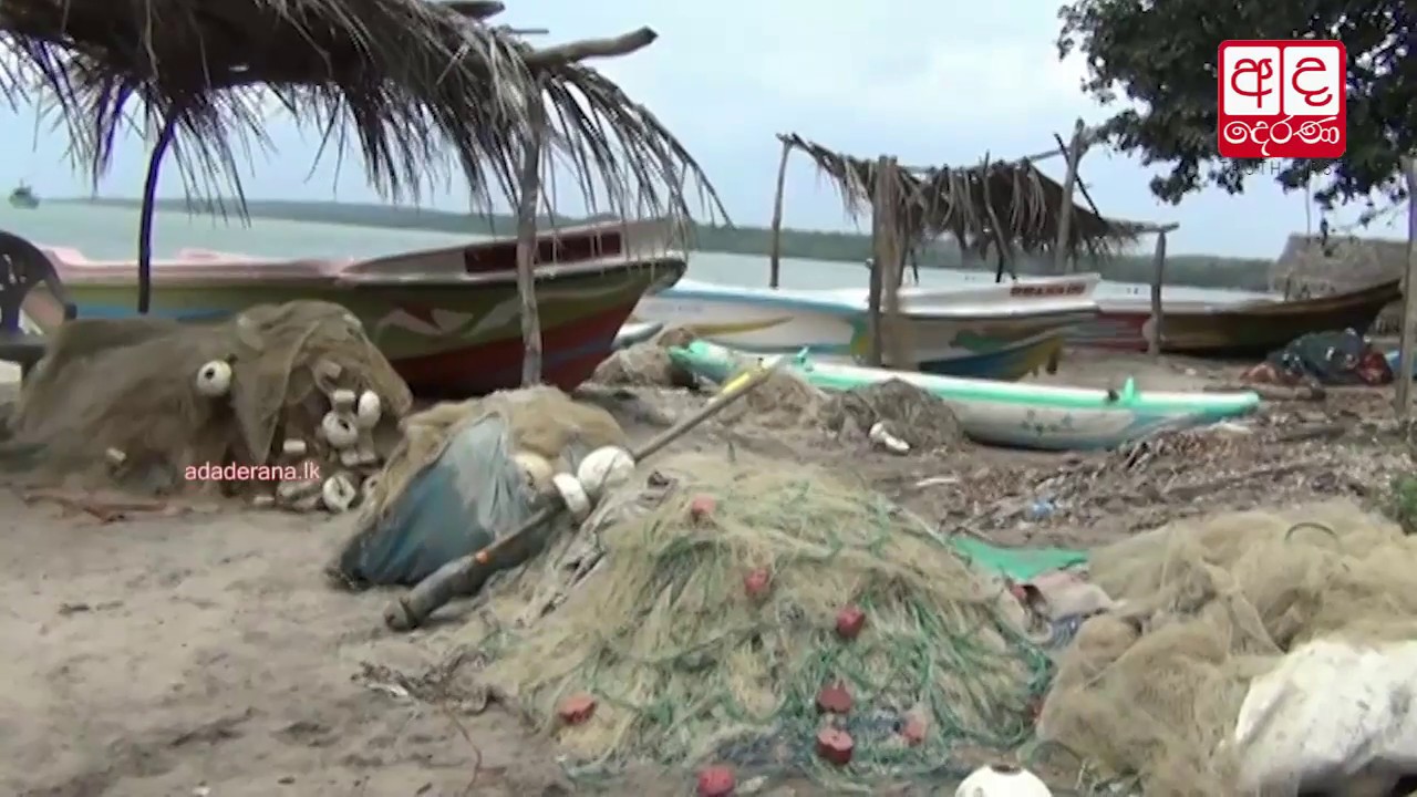 Illegal fishing methods lead to shortage of fish in Kalpitiya Lagoon ...