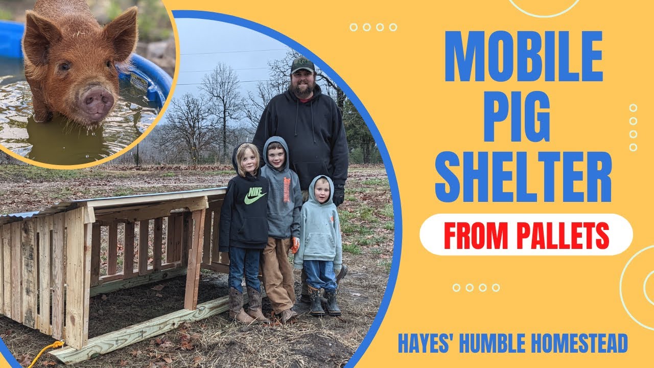 MOBILE PIG PALACE FROM PALLETS DIY PIG SHELTER MOBILE PIG SHELTER mobile-pig-palace-from-pallets-diy-pig-shelter-mobile-pig-shelter