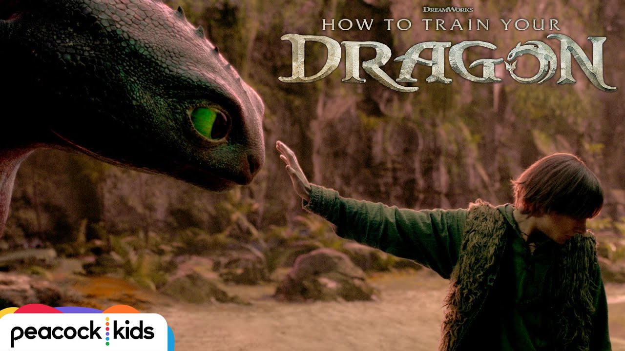 How Did Toothless And Hiccup Meet