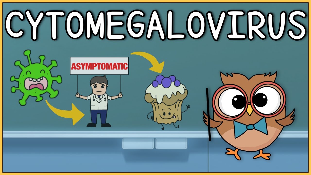 Cytomegalovirus (CMV) Microbiology: Pathogenesis, diagnosis, treatment ...