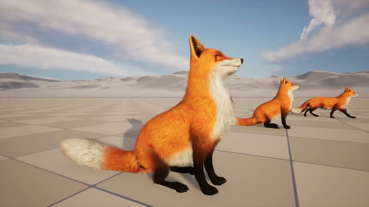 Red Fox - YouTube