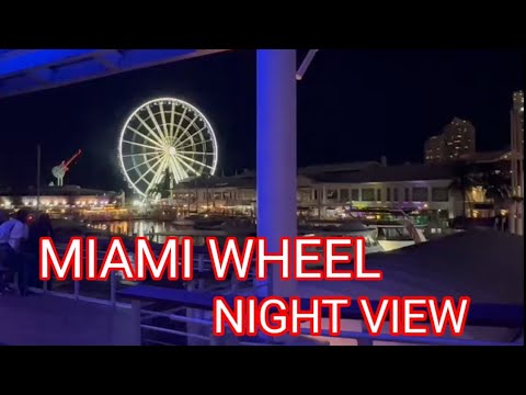 SkyView Miami Wheel : Florida's Best Night View - YouTube