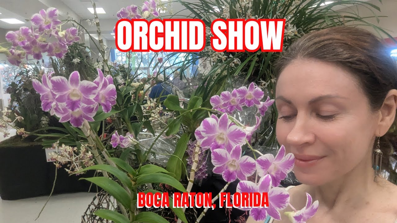 Boca Raton Orchid Show 2025 | Stunning & Rare Orchids | Must-See ...