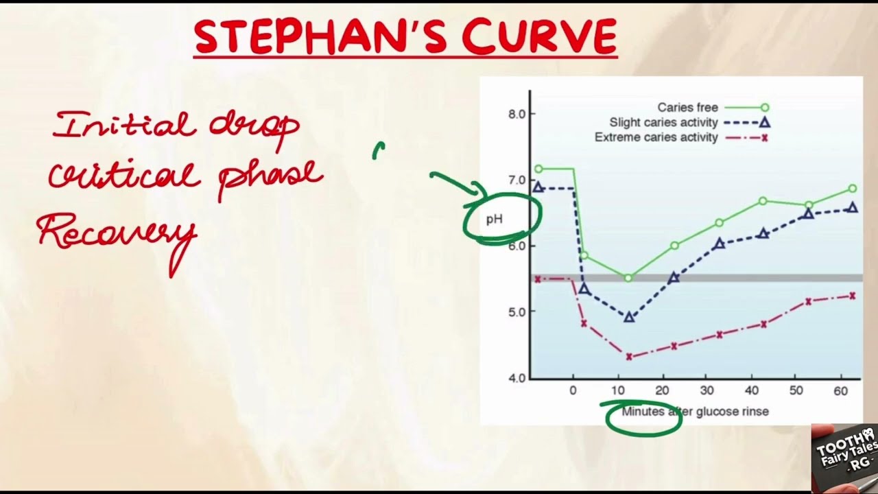 Stephans curve lecture dental caries part 3 - YouTube