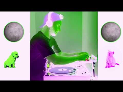 DJ Blendmaster Rip - Cats & Dogs x Moon Routine - YouTube
