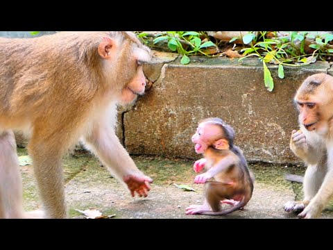 Active baby SARIKI crying so sad cuz she not agree with mom's lesson.