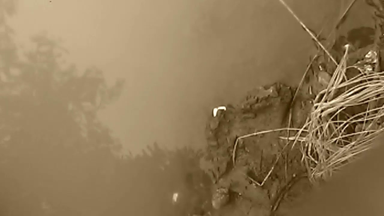 Brenda kumar - YouTube