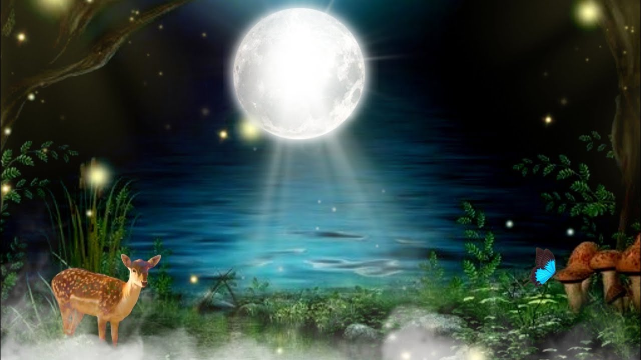 Nature Video Background / Animated Background Video / Background Video ...