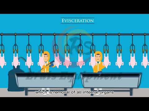 Compact Slaughter Equipment for Chicken Slaughtering Animation | Eruis