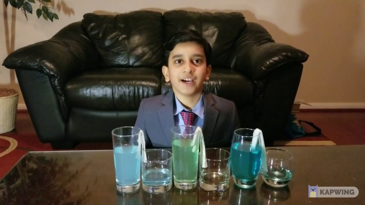 Capillary Action With Paper Towel Experiment 2 - YouTube