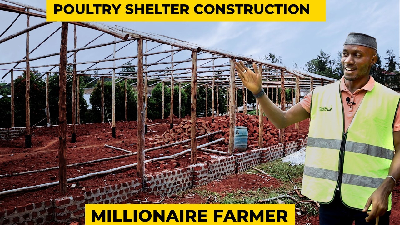Building our Mega 8,000 Chicken Farm | Update | 2026 - YouTube