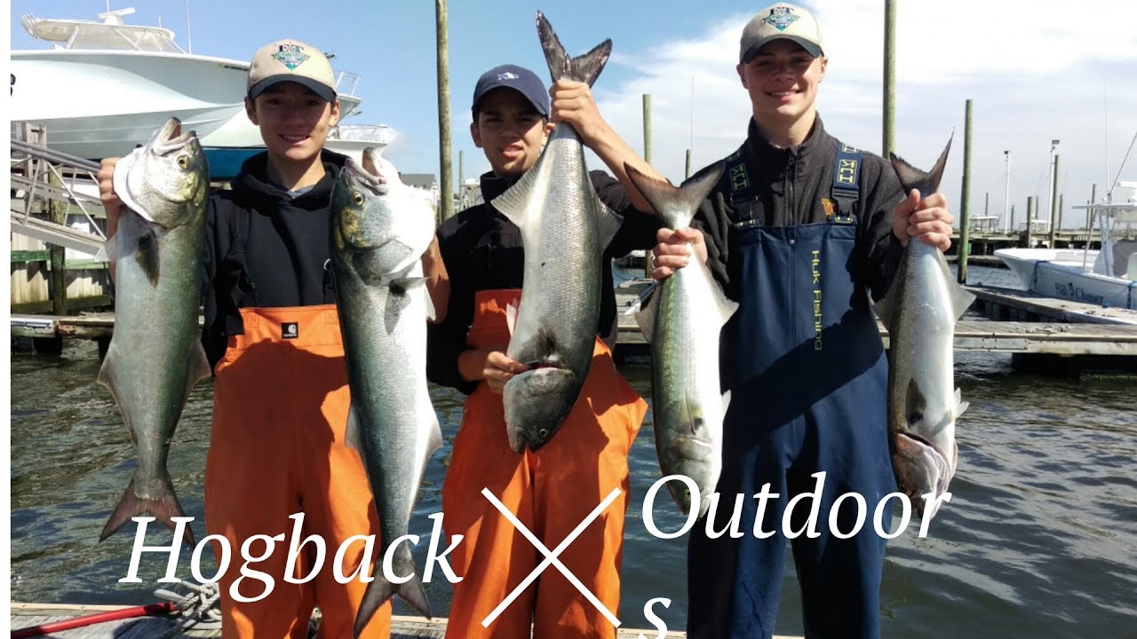 Giant Bluefish in Raritan Bay - YouTube