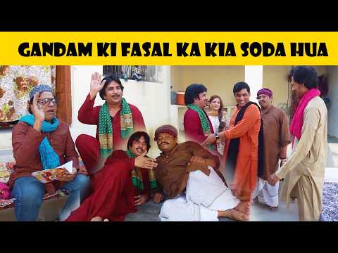 Gandam ki Fasal Ka kia soda hua|| Sakhawat Naz Comedy