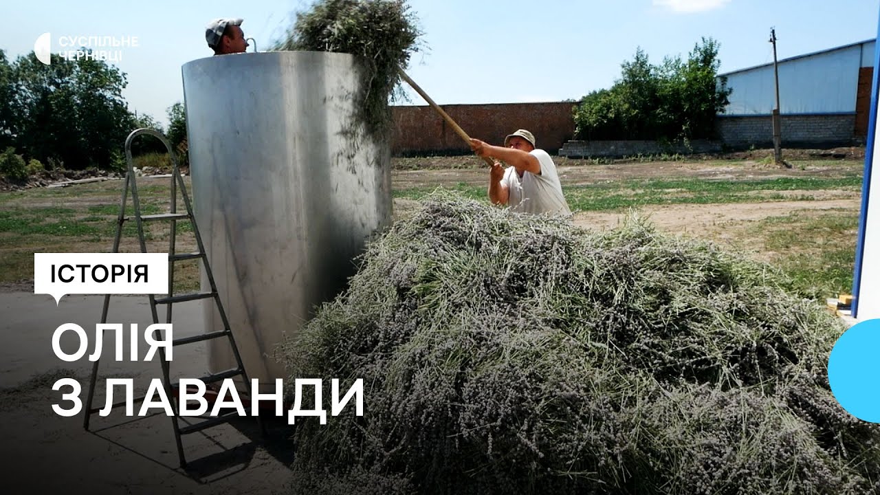 Як у невеликому селі на Буковині відкрили завод з виробництва