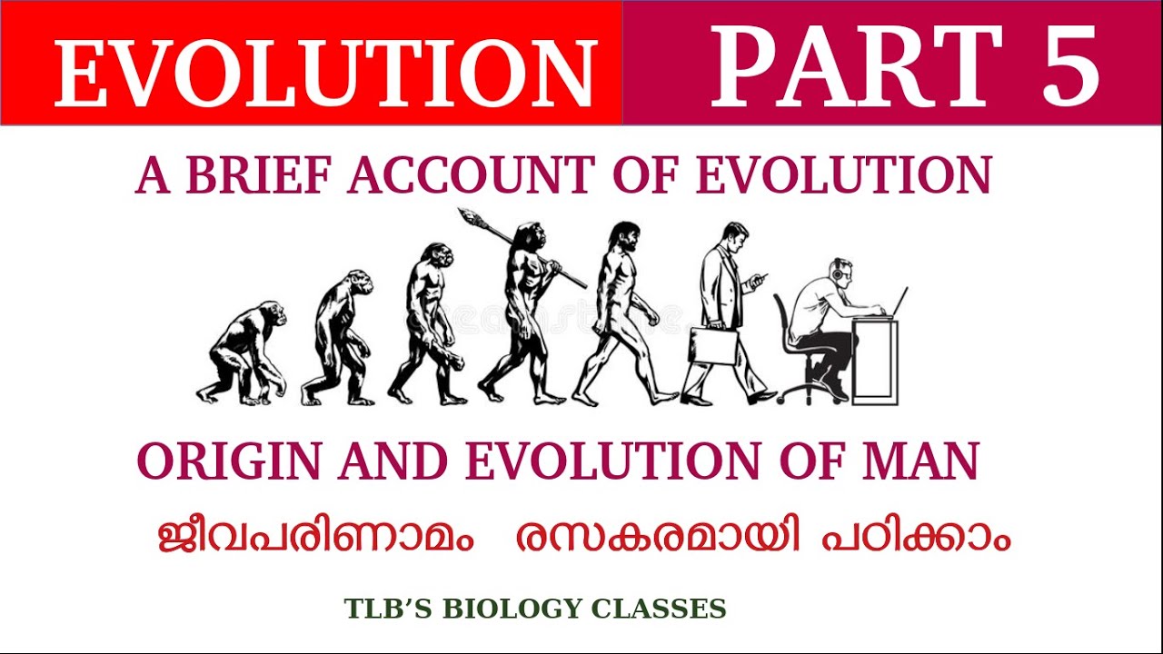 Evolution |Part 5|A brief Account of Evolution|Evolution of man|Class ...
