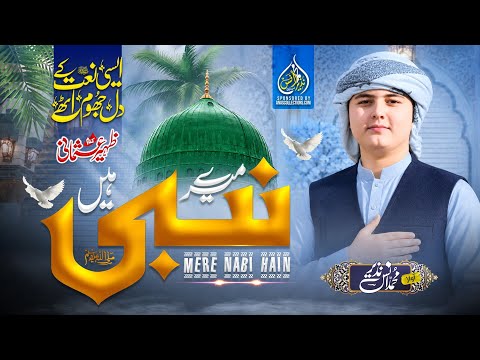 Muhammad Anas Nazeer | Hai Chain Dil Ka Chain-o-Rahat Mere Nabi Hain |New Rabi Ul Awwal Special Naat