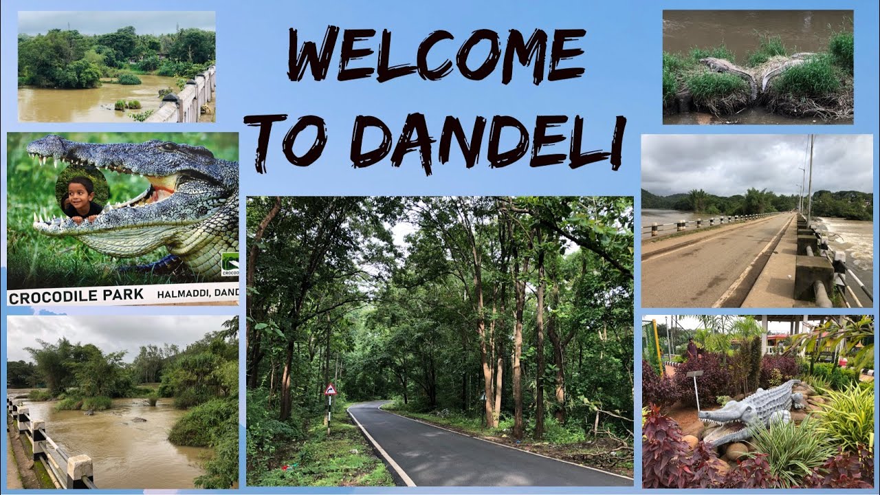 DANDELI [in 4K] I CROCODAIL PARK I KALI RIVER BRIDGE - YouTube