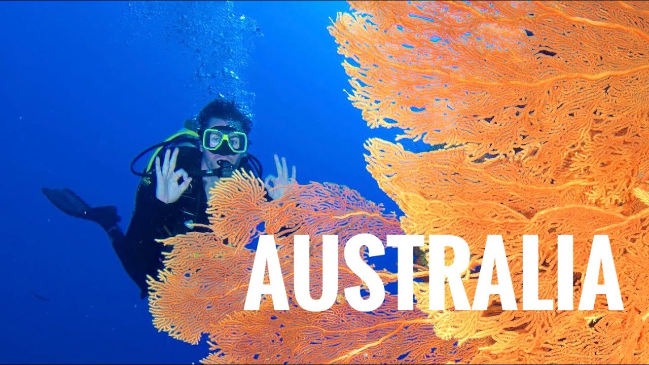 Diving DOWN UNDER (Spirit of Freedom Liveaboard) - YouTube