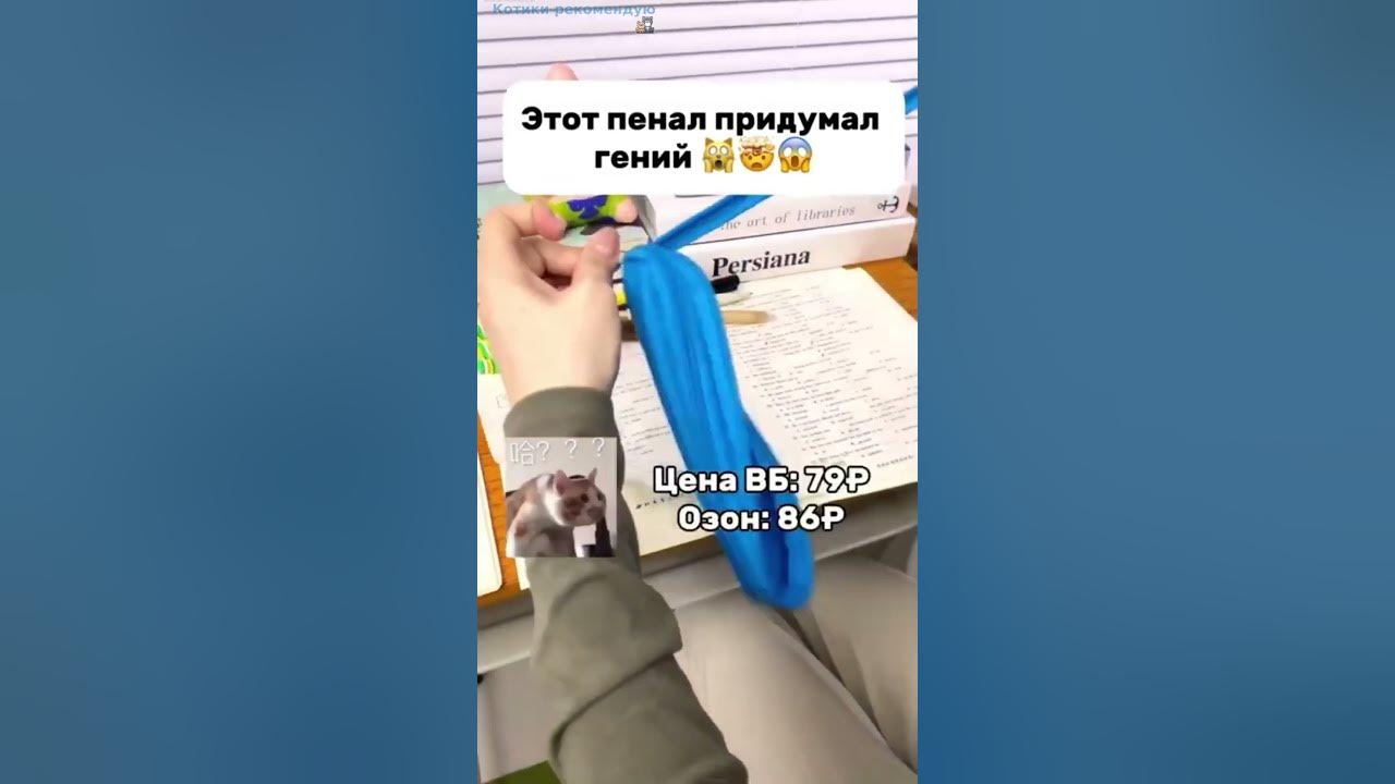 ИНТЕРЕСНЫЙ Пенал с озон - YouTube