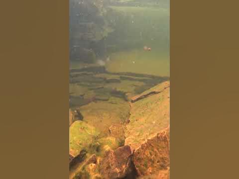богатство Сибири - YouTube