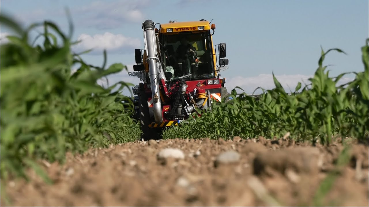 Vredo vt 2516 im Maisbestand | Gülleausbringung | AuFvObb - YouTube