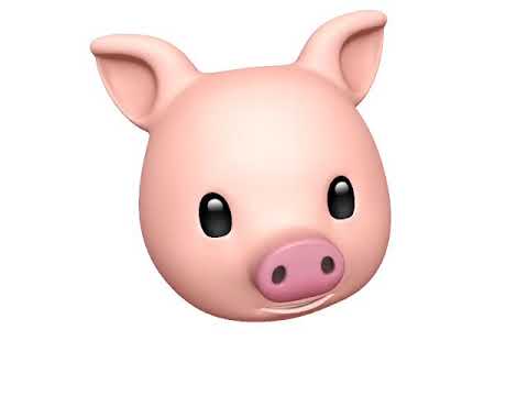 Maxwell the pig - YouTube