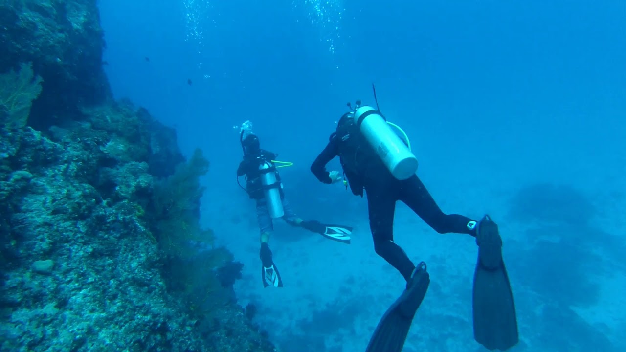 Tonga Islands - Vava'u - Dive 001 - YouTube