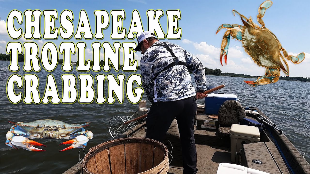 Trotline crabbing on Chesapeake Bay, Maryland - YouTube