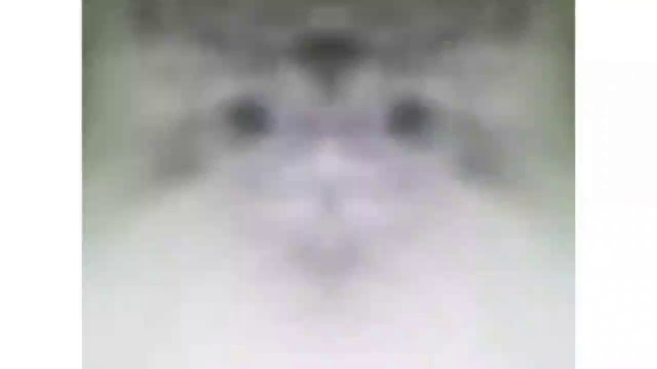 Corpet Csupo Render Pack Round 2 - Freshing Equalizer - YouTube