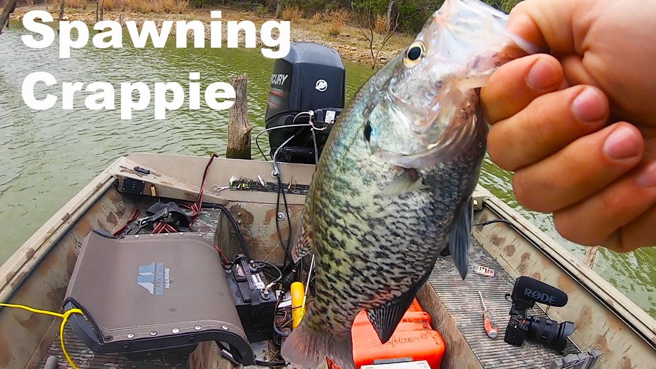 Fishing For Spawning Crappie {Catch Clean Cook} - YouTube