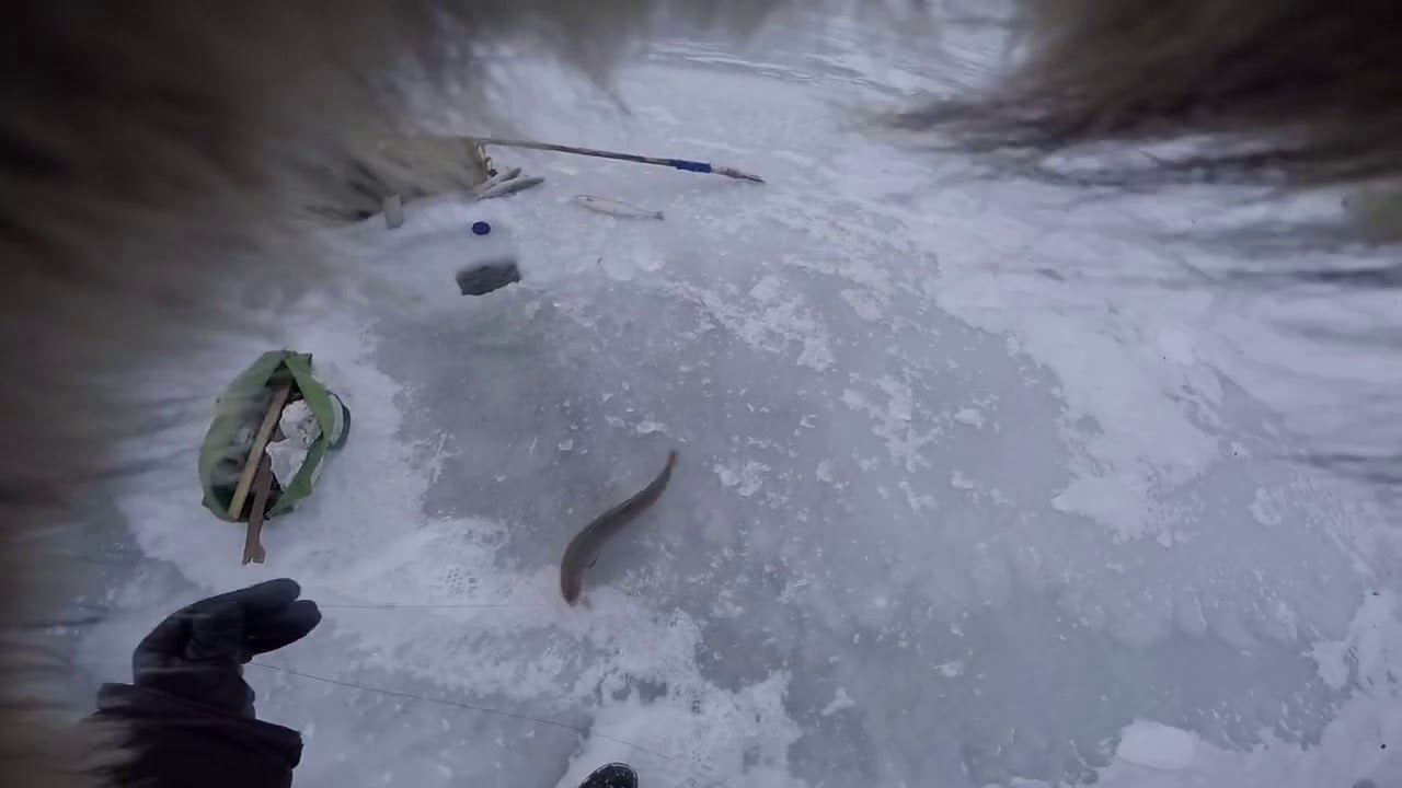 Hornaday River Arctic char Coalmine Paulatuk Nt - YouTube