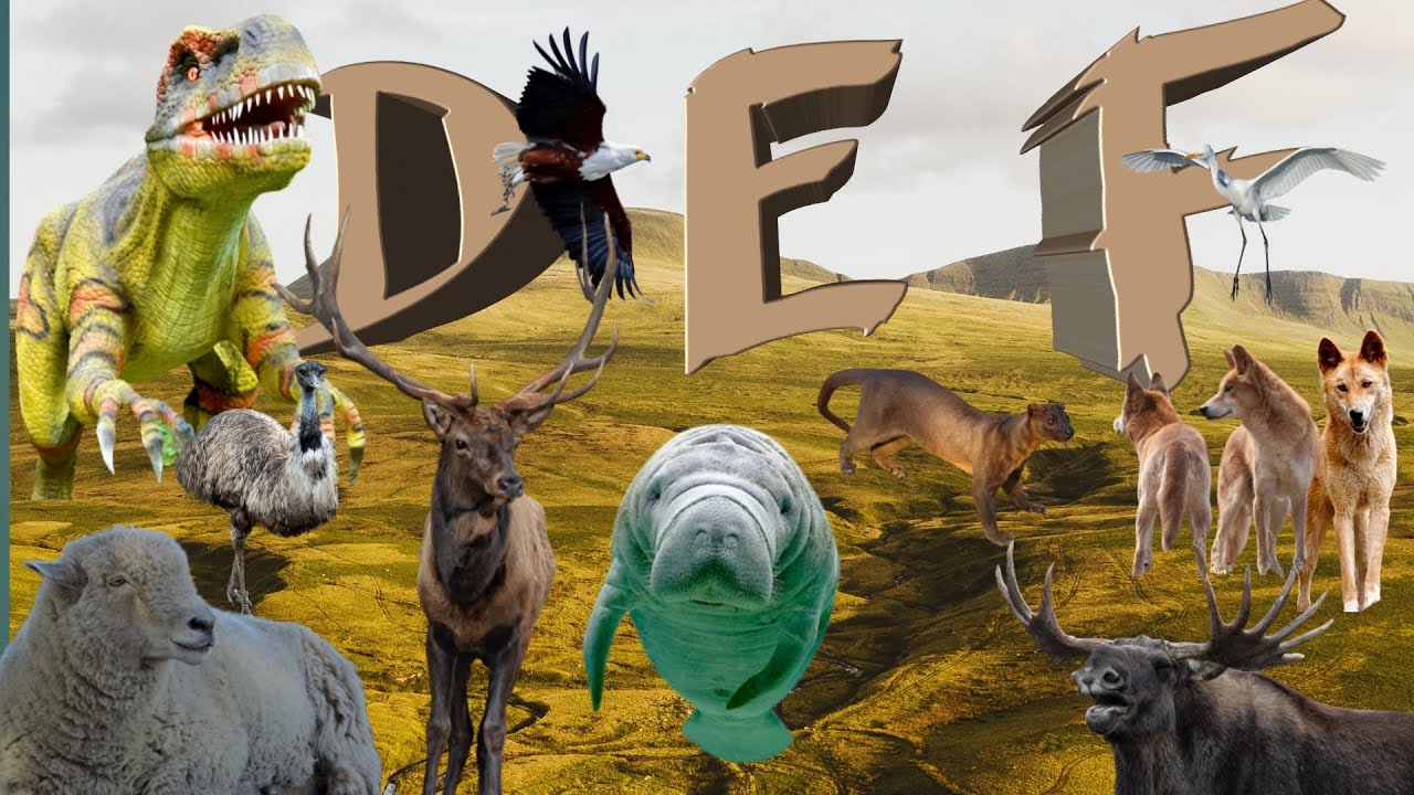 Alam dan abjad huruf depan nama hewan dingo, dinosaurus, dugong, elk ...
