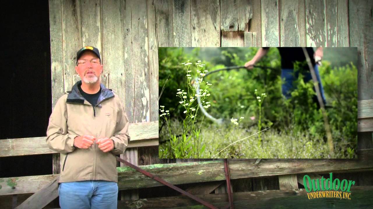 The Whitetail's Smallest Predator: Ticks (#238) @GrowingDeer.tv - YouTube